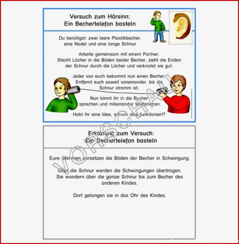 Die 5 Sinne Grundschule Arbeitsblätter: 5 Methoden Im Jahr 2022 ...