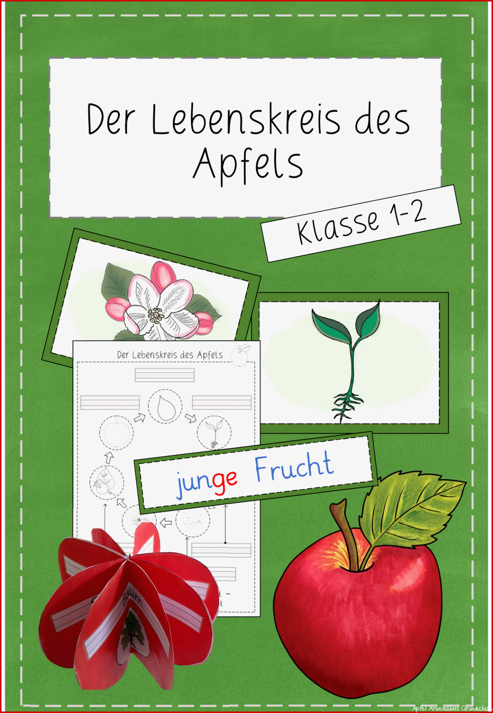 Arbeitsblatt Apfel Carl Winslow Grundschule - Kostenlose Arbeitsblätter ... Arbeitsblatt Apfel Carl Winslow Grundschule - Kostenlose Arbeitsblätter ...
