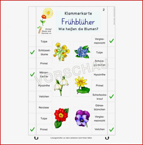 5 Empfohlen Arbeitsblatt Frühblüher Grundschule Sie Kennen Müssen ...