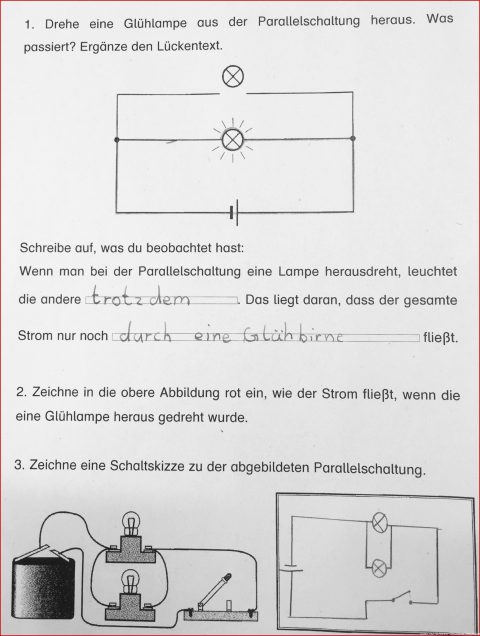 Leiter Und Nichtleiter Grundschule Arbeitsblatt: 8 Möglichkeiten Sie ...