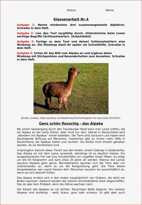 Faszinierend Tierbeschreibung Klasse 5 Gymnasium Arbeitsblätter Für ...